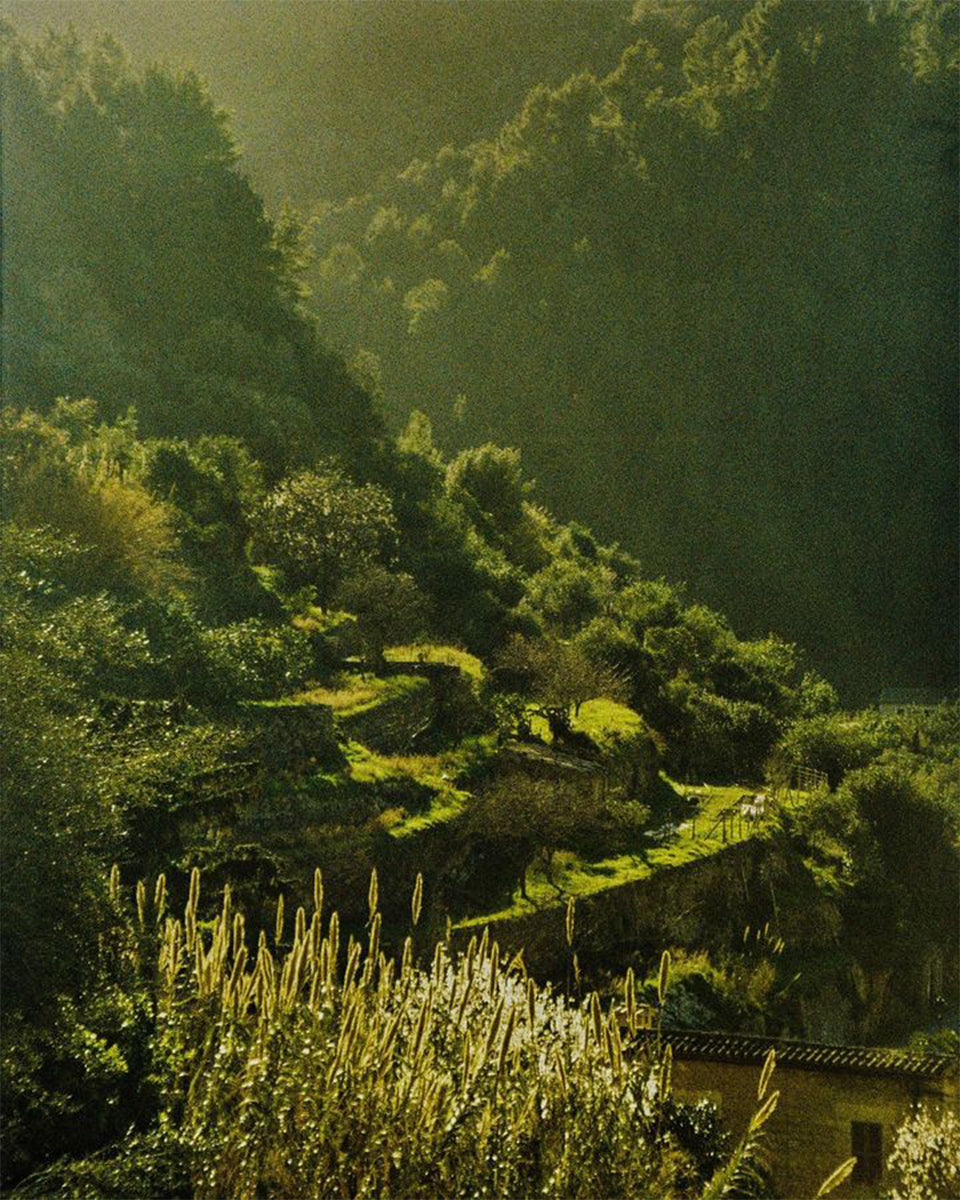 TRAVEL: THE GREAT ESCAPE - WANT Les Essentiels